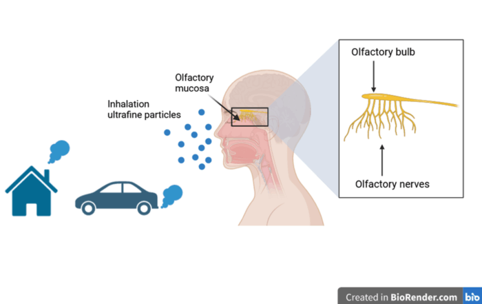 MI-TRAP EU | Transport Health Data | Blog | A Closer Look at ...